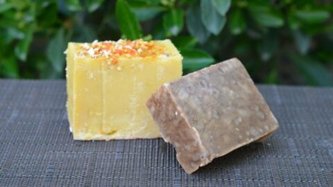 What to Do with Expired Unused Coffee Grounds? 10 Best Uses