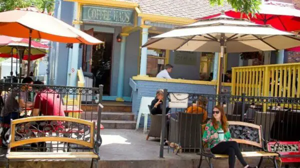 Beyond the Menu: Uncovering Secret Flavors of Philz Coffee